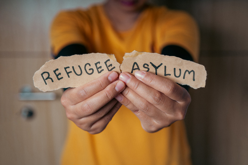 Appeal Against International Protection Tribunal Decision